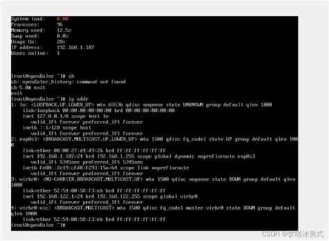 openeular入门操作（仅供学习哦~） open euler如何使用 csdn博客