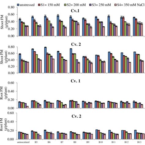 The Effect Of Bacterial Inoculation With The Un Irradiated Wild Strain