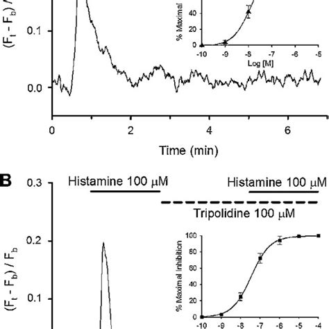 Effect Of Bradykinin And Histamine Stimulation On Ca 2 I Of