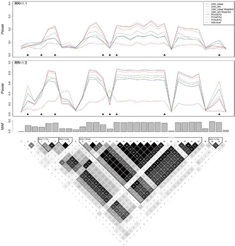 Power The Causal Snp And The Genotyped Snps In Scenarios A2 And A3 Download Scientific Diagram