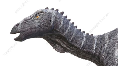 Thescelosaurus Dinosaur Illustration Stock Image F037 8362