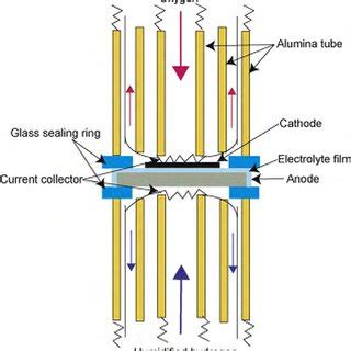 Schematic Diagram Of FIB SEM Setting Download Scientific Diagram