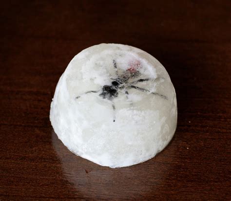 Frozen Gelatin Fossil Excavation And Frozen Gelatin Sensory Play