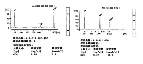 Novel Library Construction Method Based On Illumina Sequencing Platform Eureka Patsnap