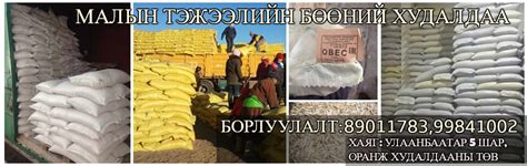 Малын тэжээлийн бөөний төв