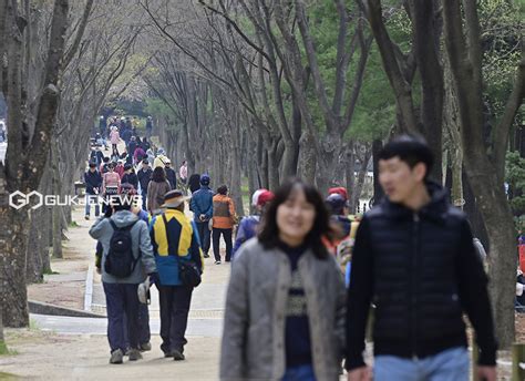[국제포토] 동행 And 벚꽃축제