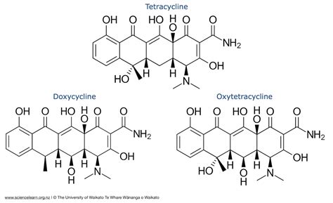 Chemical Structure Of Tetracyclines — Science Learning Hub
