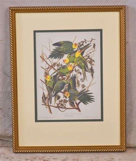Small Framed Print Carolina Parrot By John J Audubon 1054 832 R H