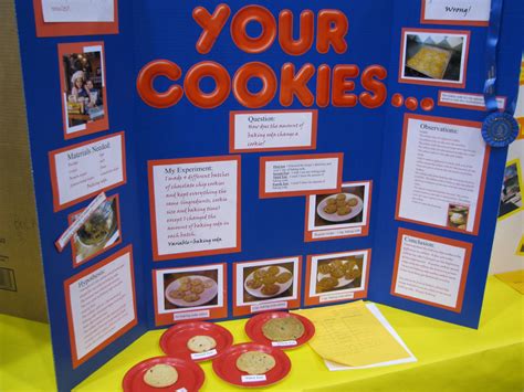 Intriguing Science Experiments For Th Grade Science Fair A