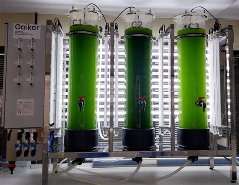 Filipe Coutinho On Linkedin Photobioreactors