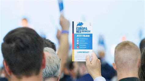 Afd Wahlprogramm Eu Ist Ein Gescheitertes Projekt Ndr De Nachrichten Ndr Info