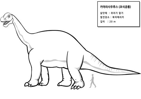 공룡 색칠공부 티라노사우르스 트리케라톱스 네이버 블로그