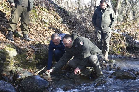 ლაგოდეხის ნაკრძალის მდინარეები „წითელი ნუსხის“ სახეობის ნაკადულის კალმახის 80 000 ქვირითით