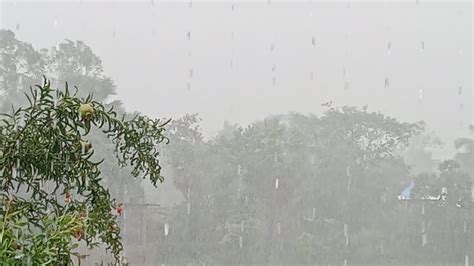অনেকদিন পর বৃষ্টি হল সাথে গরমের জন্য আরামদায়ক জামা কাপড় কিনলাম