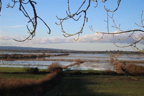 Uk Government Declares Major Incident Over Flood Risk In Somerset