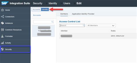 [sap cpi] working with api management create api provider with open