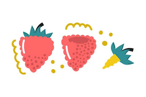 Tangan Ditarik Set Raspberry Ilustrasi Datar Ilustrasi Stok Unduh