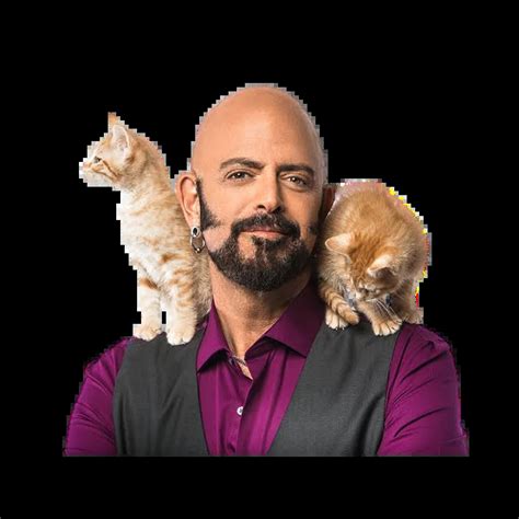 חול מתגבש לחתולים גרגירים גדולים באג