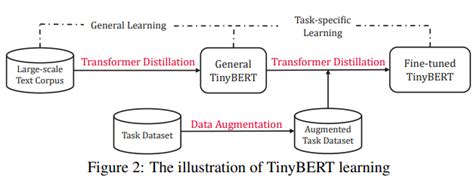 Nl 050 Tinybert Distilling Bert For Natural Language Understanding