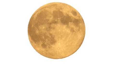 Media Luna Logo Png Sharp Details Media Luna Logo Png Sharp Details