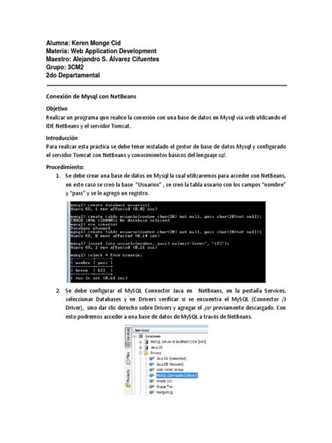Mysql Netbeans Pdf Mi Sql Frijoles Netos