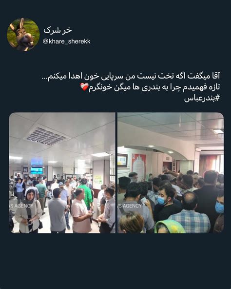 ‎خر شرکتوییت‎ ‎چه خوشگله🥹🥹🥹 Kharesherekk‎ Instagram