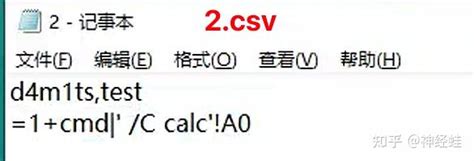 csv 是什么文件？ 知乎