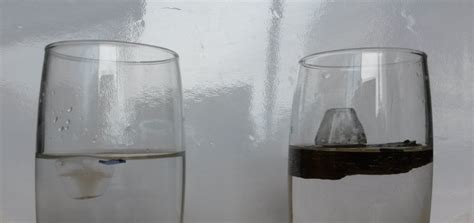 Climate Science Experiment Kiwi Conservation Club