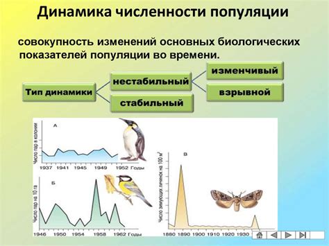 Динамика популяции животных презентация онлайн
