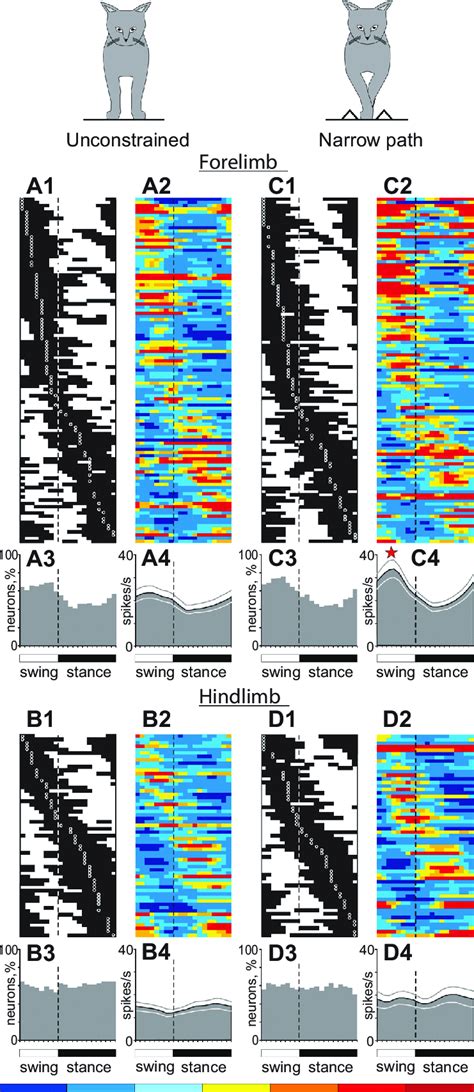 Population Characteristics Of Forelimb Related A And C And