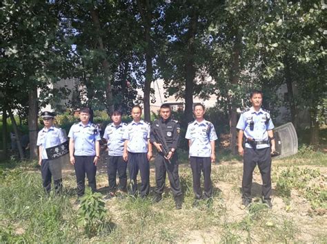 疯牛逞凶伤人，周口特警一枪击毙解危机