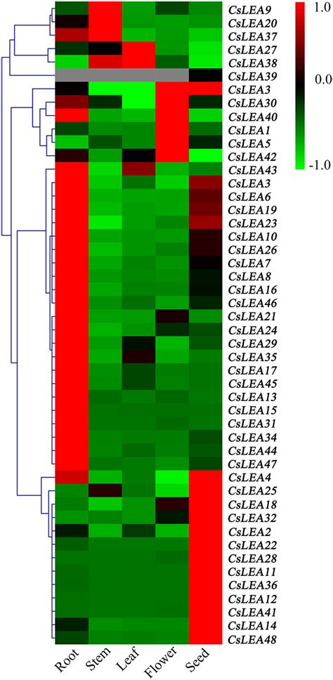 a heatmap showing the hierarchical clustering of the expression levels