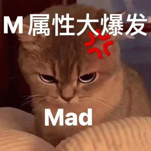 M Mad S M M Mad