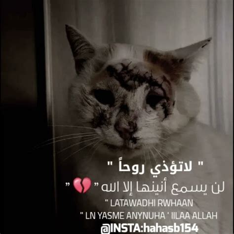 ستوريات حزينه 😔🖐شعر حزين اجمل اشعار قصيره حزينه جدا 💔حالات واتس اب