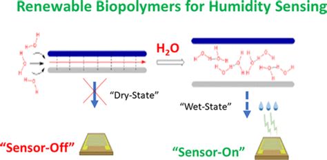 Renewable Hybrid Biopolymerpolyaniline Composites For Humidity Sensing Acs Applied Polymer