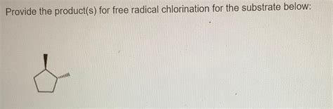 Solved Provide The Products For Allylic Bromination Nbs
