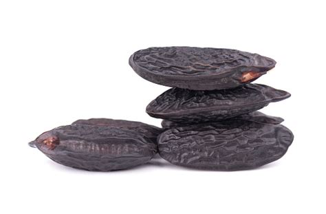 흰색 배경에 고립 된 통카 콩 딥테릭스 오도라타 쿠마루 또는 쿠마루의 콩 신선한 아로마 통카 콩 0명에 대한 스톡 사진 및 기타 이미지 Istock