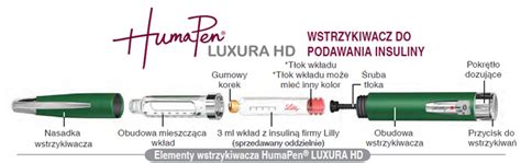Największy Portal O Cukrzycy W Polskim Internecie