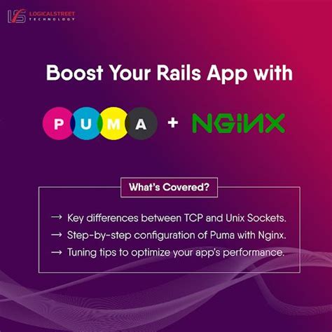 Rubyonrails Pumaserver Nginx Webappperformance Developertools Logicalstreet