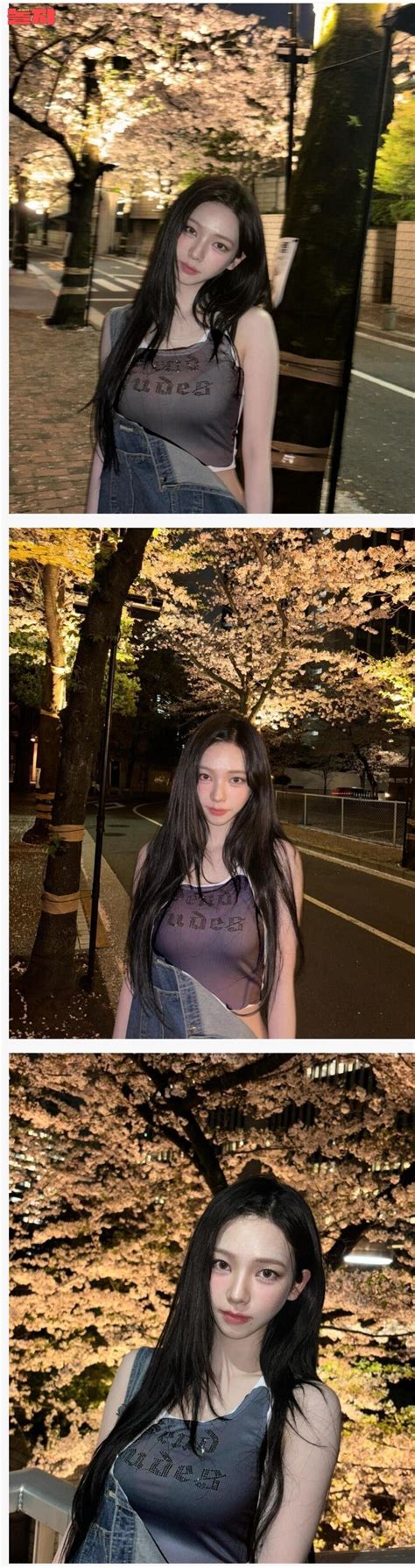 놀쟈 성인들의 파라다이스