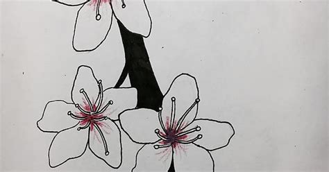 Blossoms Album On Imgur
