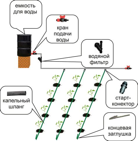 схема системы капельного полива Drip Irrigation System Design Drip