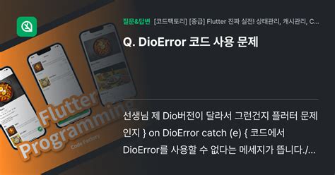 Dioerror 코드 사용 문제 인프런 커뮤니티 질문and답변