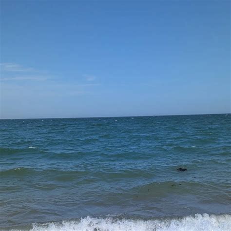 Chat With Mha Beach Text Or Voice Enjoy Ai Chat Free And Safe