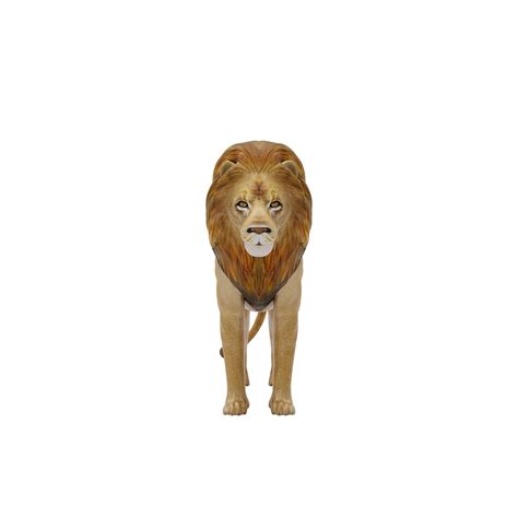 3d Lion Isolated 18800463 Png