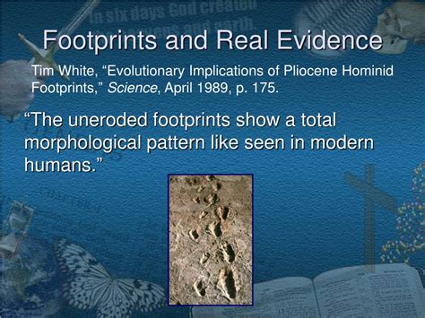 Ppt Australophithecus Africanus And Australopithecus Afarensis
