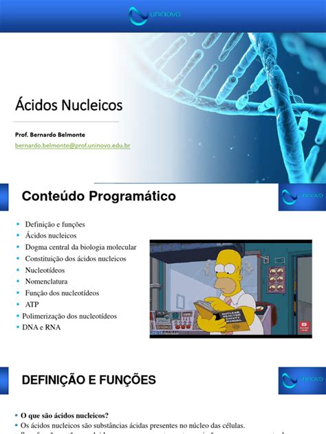 Ácidos Nucléicos Pdf Ácidos Nucleicos Rna