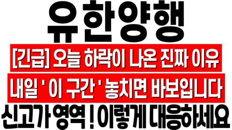 유한양행 주가 전망 내일 이 구간 놓치면 바보 오늘 하락한 진짜 이유 내일 이렇게 대응하세요 유한양행 주식 분석 유한