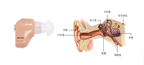 Older Ear Canal Hearing Aid Old Man Wireless Invis Grandado