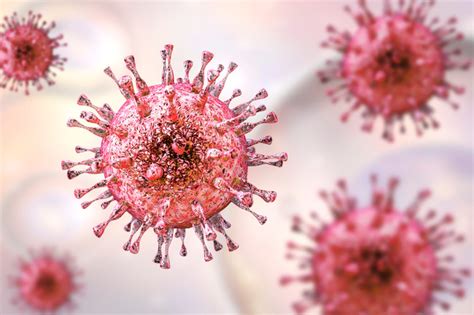 Todo lo que tienes que saber sobre el herpes causas síntomas y